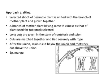 PROPAGATION_METHODS.pptx