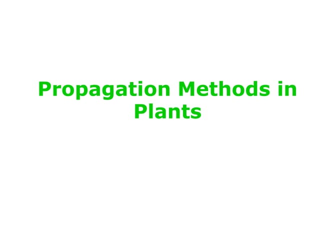 Propagation methods in plants | PPTX | Infertility | Reproductive Health