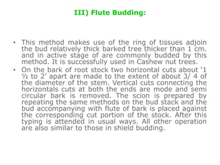 Propagation methods in plants | PPTX