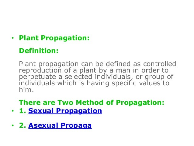 Propagation methods in plants