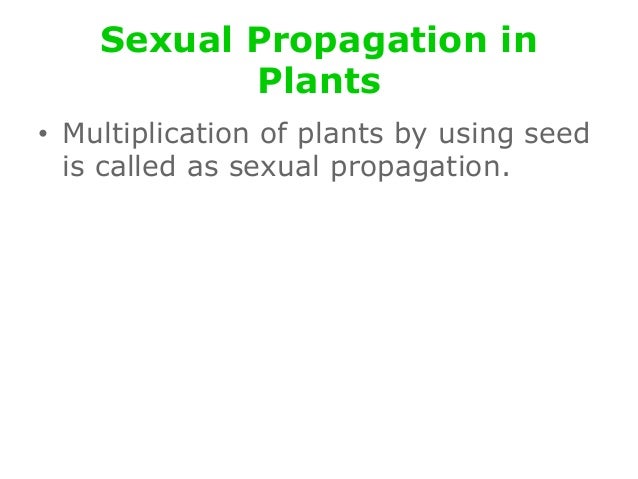Propagation methods in plants