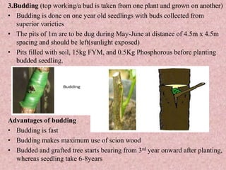 Propagation methods of Important Medicinal Plants | PPTX