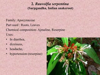 Propagation methods of Important Medicinal Plants | PPTX