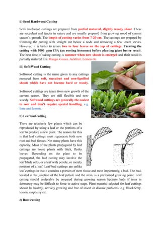 Propagation n dormancy | PDF