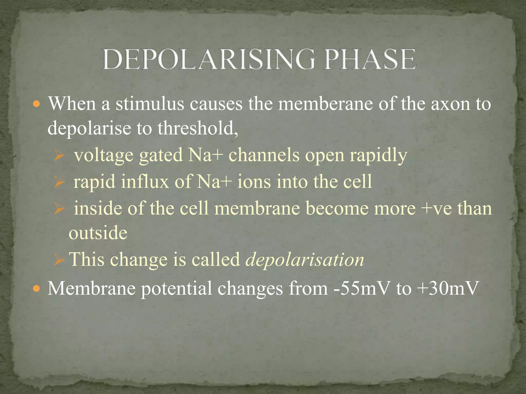 Propagation of action potential | PPTX