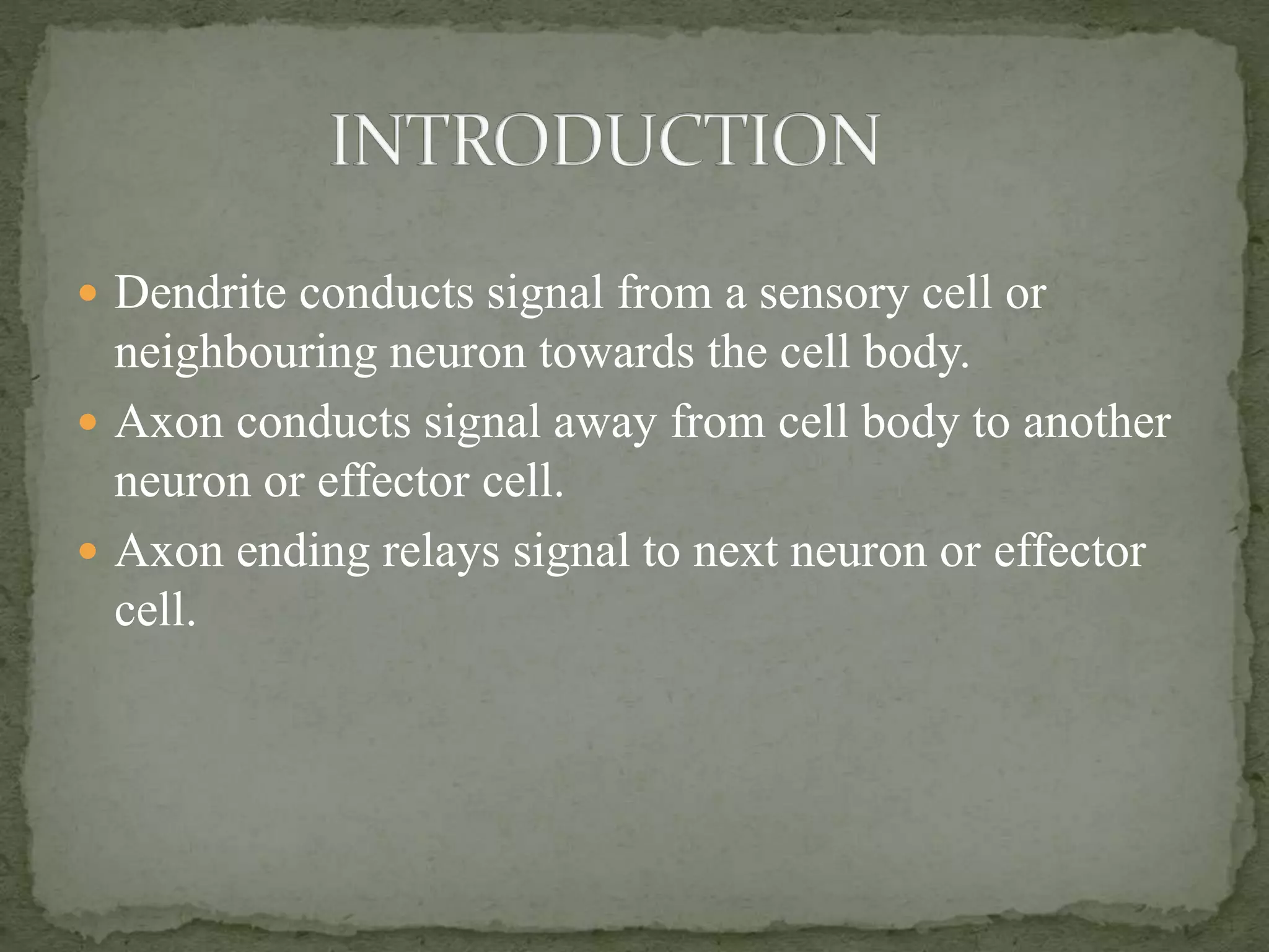Propagation of action potential | PPTX