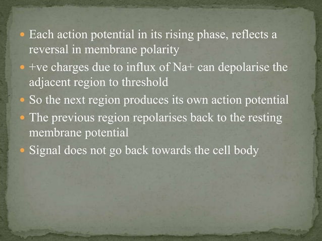 Propagation of action potential | PPTX