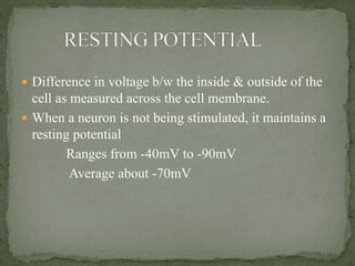 Propagation of action potential | PPTX