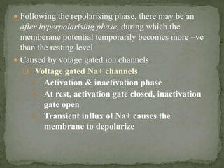Propagation of action potential | PPTX