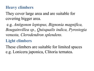 propagation of climbers and creepers.pdf
