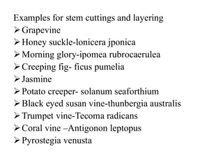 propagation of climbers and creepers.pdf