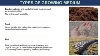 Propagation of Grape and Nursery Dr. P H Nikumbhe.pptx