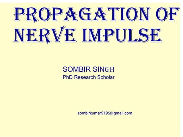Propagation of nerve impulses | PPTX | Computer Networking | Computing