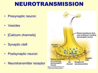Propagation of nerve impulses | PPTX