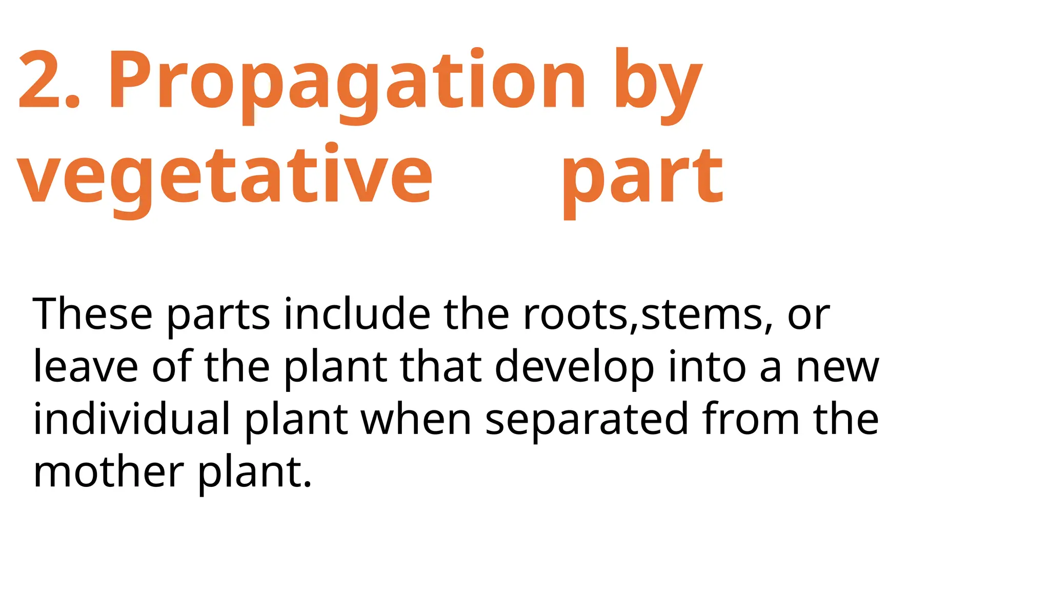 Propagation of ornamental by Rahul .pptx