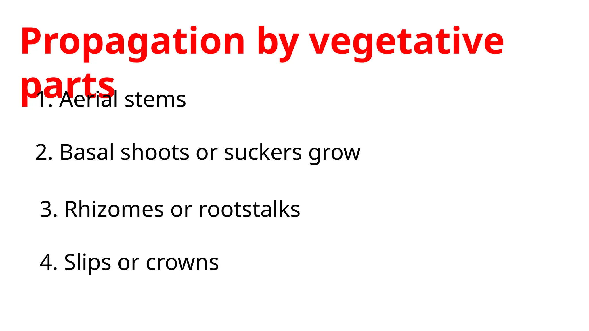 Propagation of ornamental by Rahul .pptx