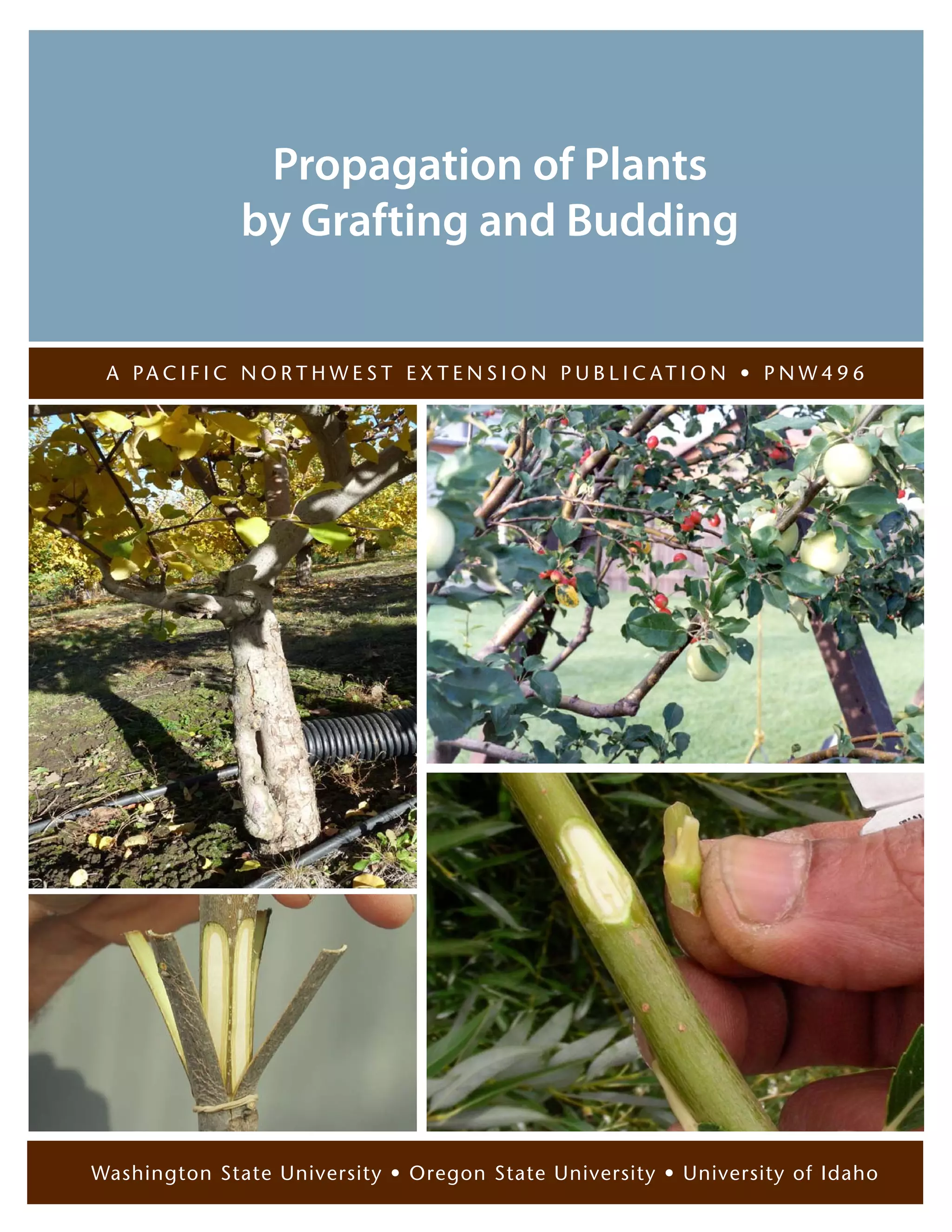 Propagation of plants grafting and budding | PDF