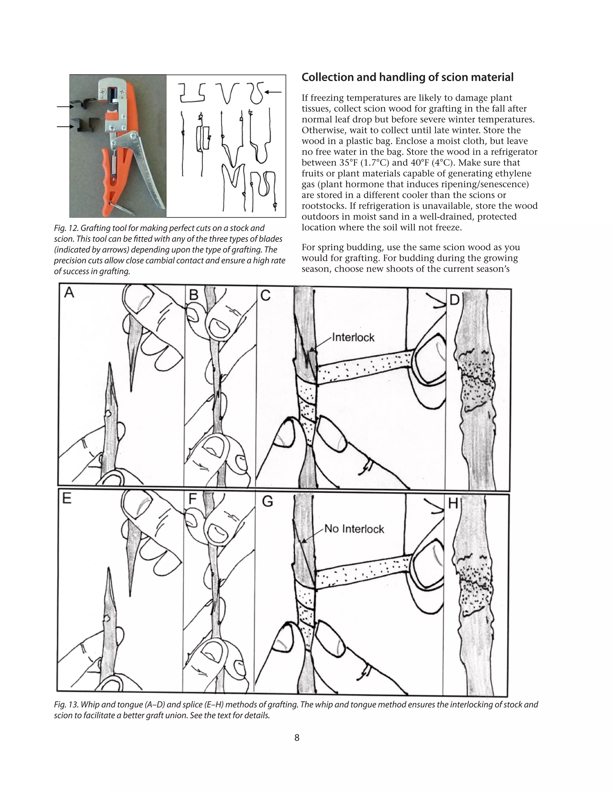 Propagation of plants grafting and budding | PDF