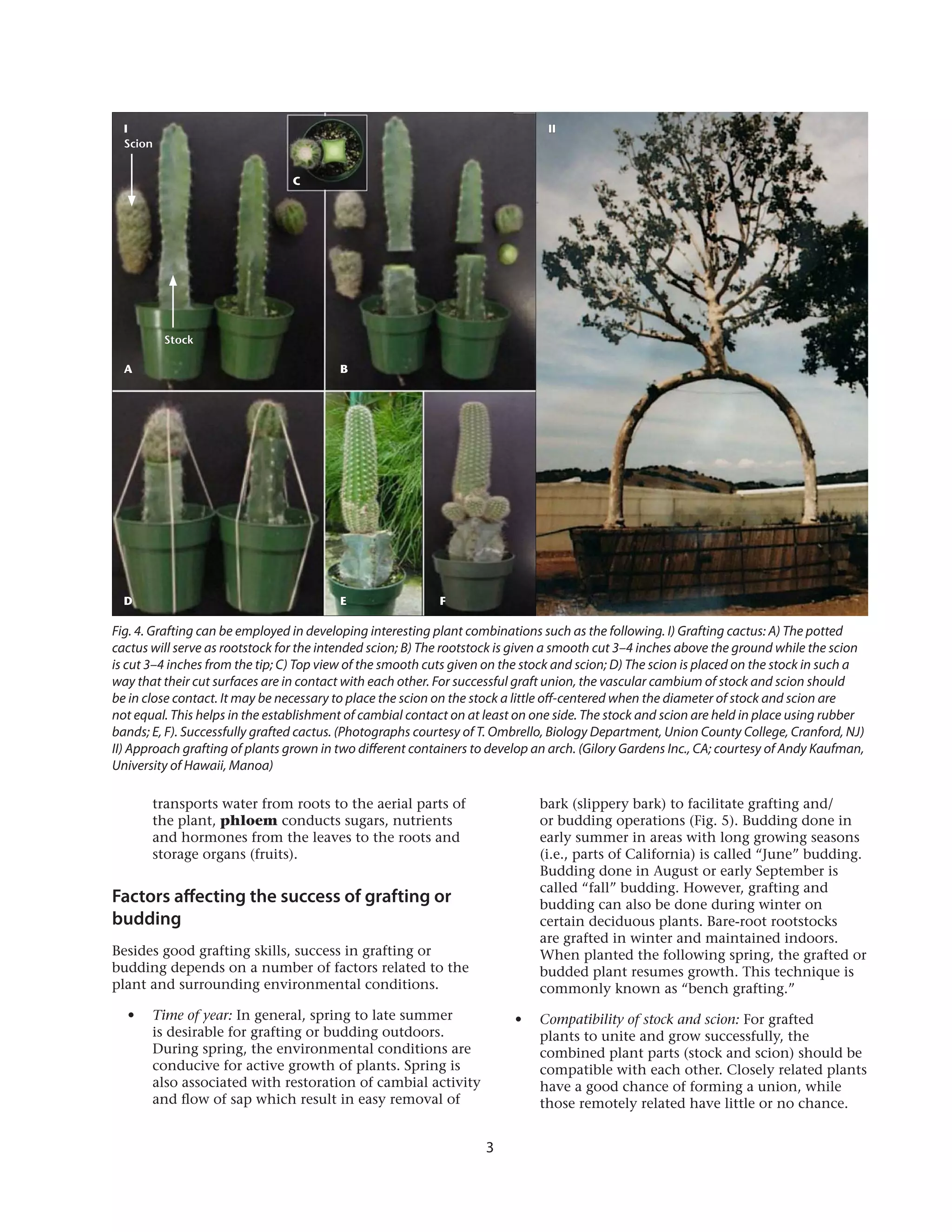 Propagation of plants grafting and budding | PDF