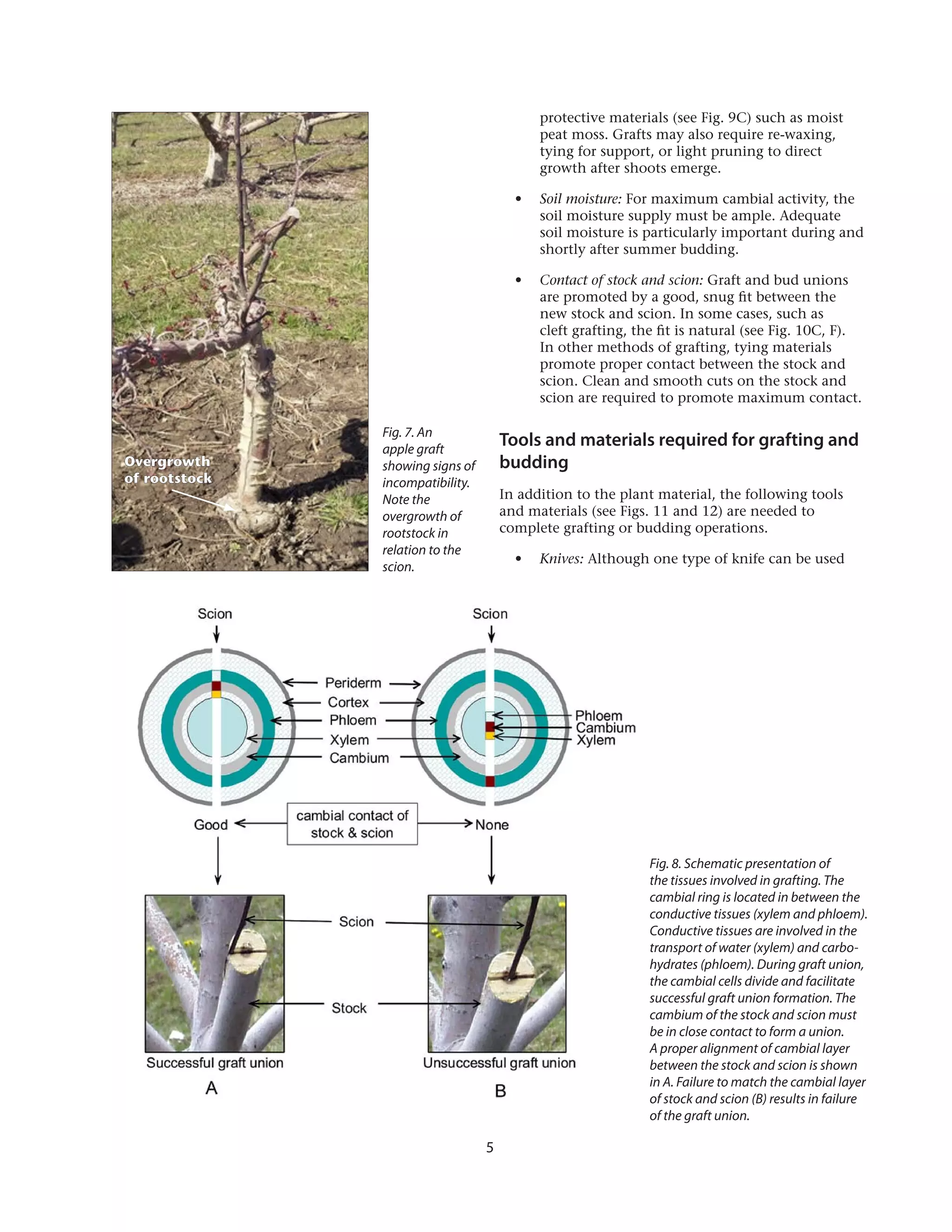 Propagation of plants grafting and budding | PDF