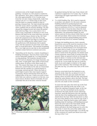 Propagation of plants grafting and budding | PDF