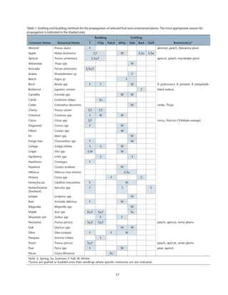 Propagation of plants grafting and budding | PDF