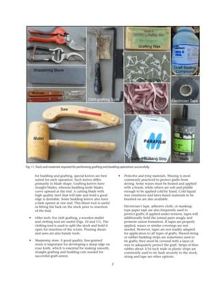 Propagation of plants grafting and budding | PDF