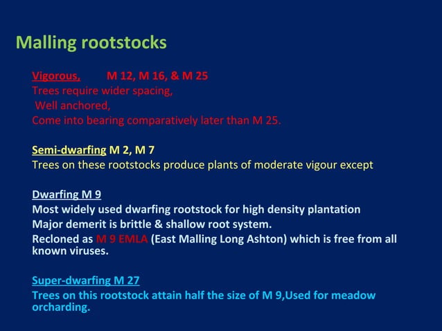 Propagation of rootstocks in temperate fruits final. ROOTSTOCK . WHAT IS ROOTSTOCK. | PPT