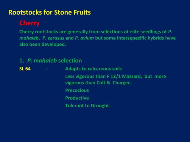 Propagation of rootstocks in temperate fruits final. ROOTSTOCK . WHAT IS ROOTSTOCK. | PPT