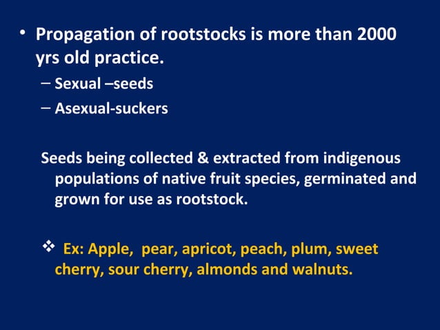 Propagation of rootstocks in temperate fruits final. ROOTSTOCK . WHAT IS ROOTSTOCK. | PPT