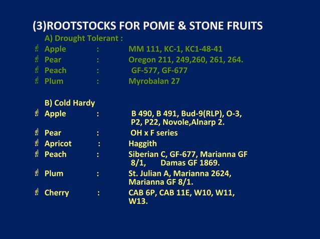 Propagation of rootstocks in temperate fruits final. ROOTSTOCK . WHAT IS ROOTSTOCK. | PPT