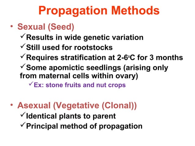 Propagation of rootstocks in temperate fruits final. ROOTSTOCK . WHAT ...