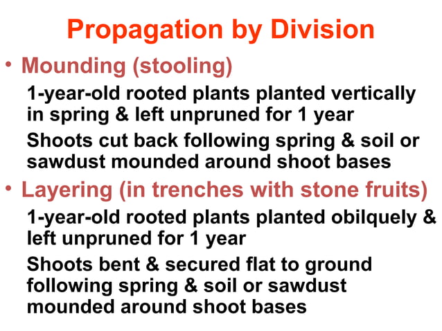 Propagation of rootstocks in temperate fruits final. ROOTSTOCK . WHAT ...