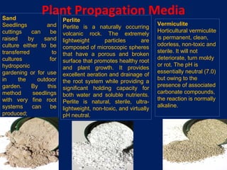 Propagation of rootstocks in temperate fruits final. ROOTSTOCK . WHAT ...