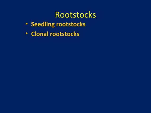 Propagation of rootstocks in temperate fruits final. ROOTSTOCK . WHAT ...