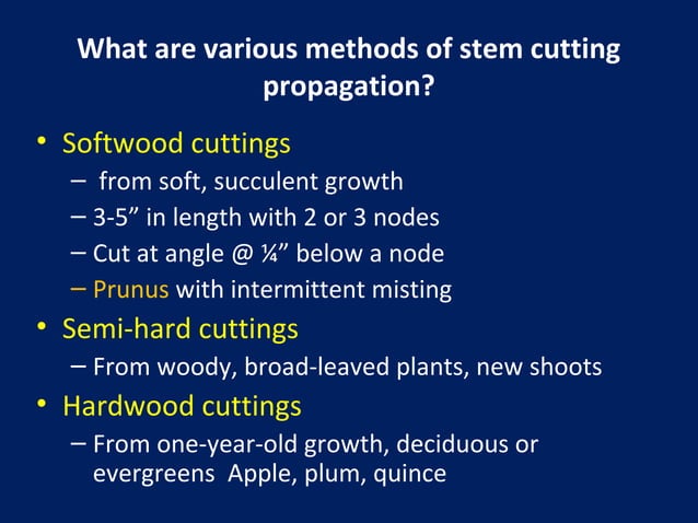 Propagation of rootstocks in temperate fruits final. ROOTSTOCK . WHAT ...