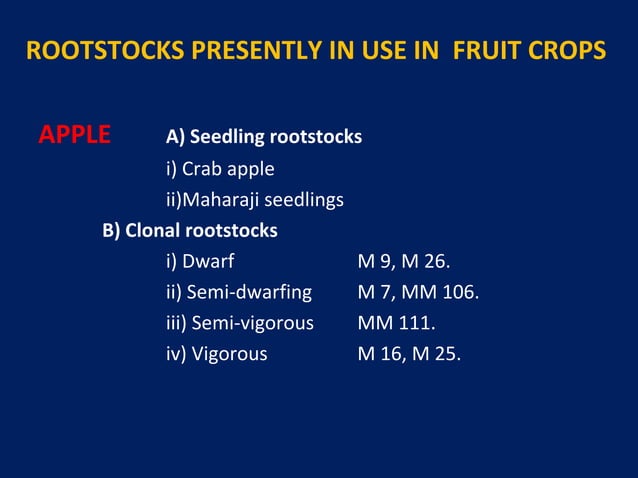 Propagation of rootstocks in temperate fruits final. ROOTSTOCK . WHAT IS ROOTSTOCK. | PPT