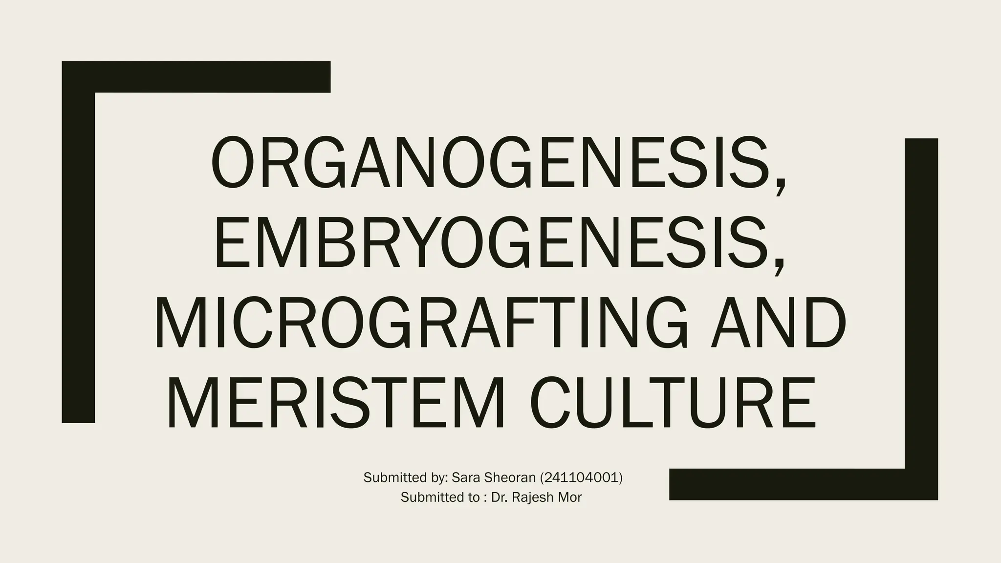 organogenesis, embryogenesis, meristem culture PPT sara.pptx
