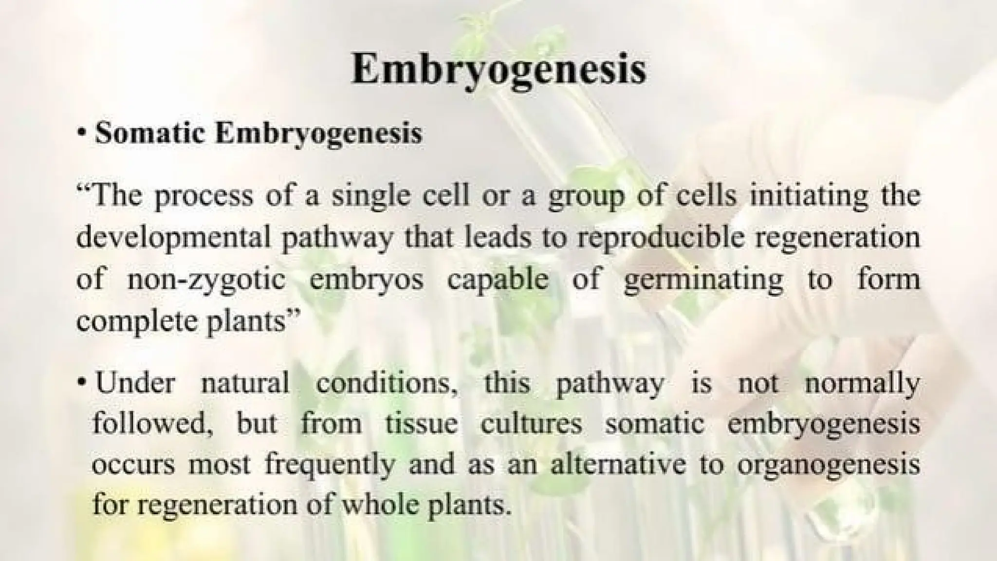 organogenesis, embryogenesis, meristem culture PPT sara.pptx