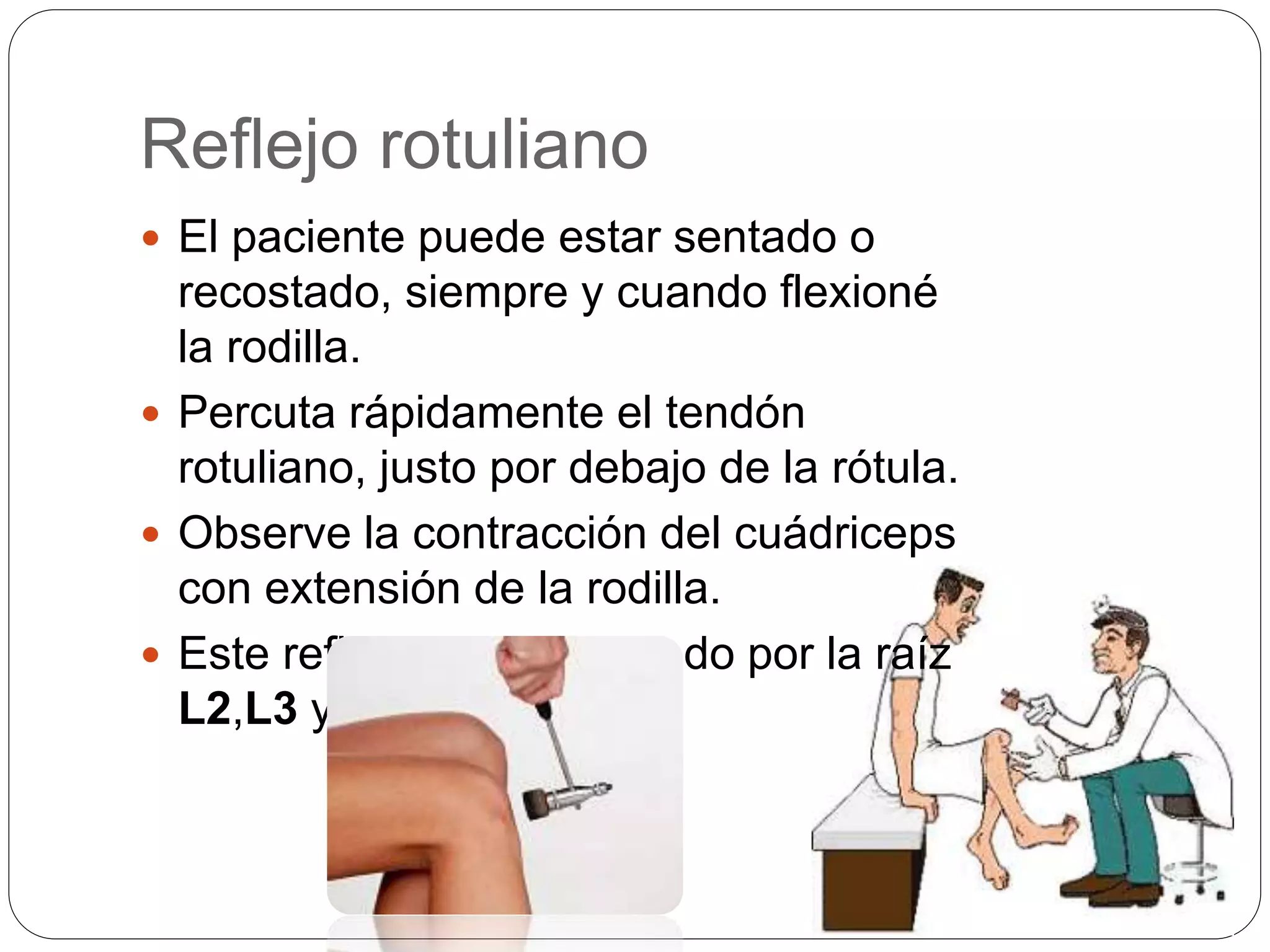 Exploración de Reflejos tendinosos profundos | PPTX