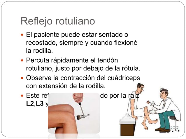 Exploración de Reflejos tendinosos profundos | PPTX
