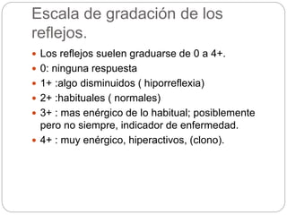 Escala De Reflejos Osteotendinosos