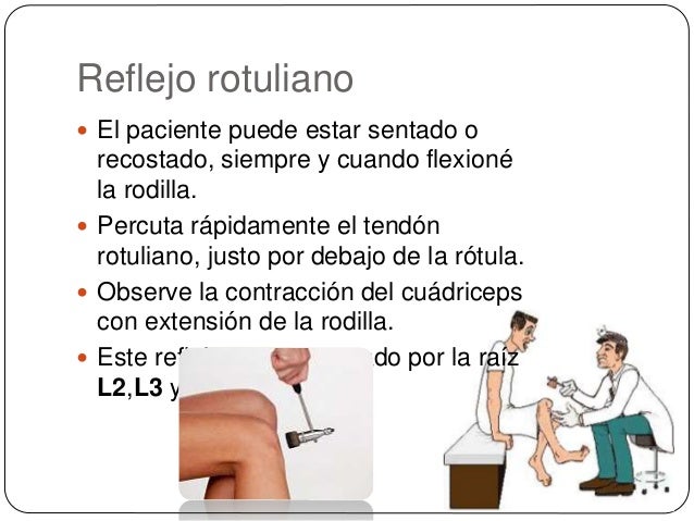 Exploración de Reflejos tendinosos profundos