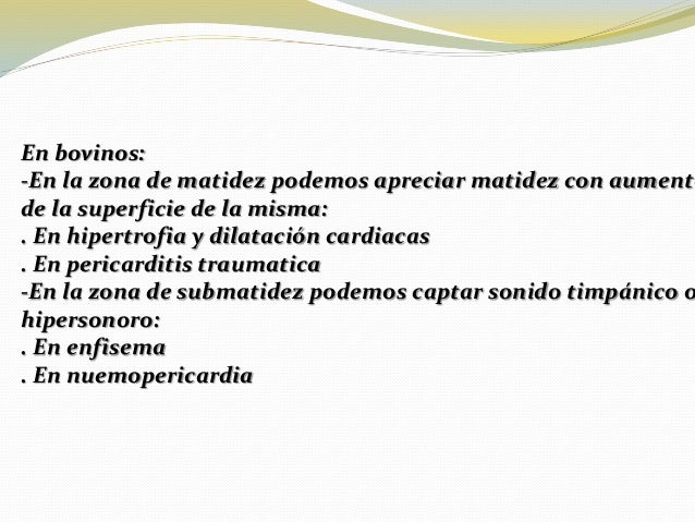 PROPEDEUTICA FINOR: EXPLORACION TORAX CARDIACO