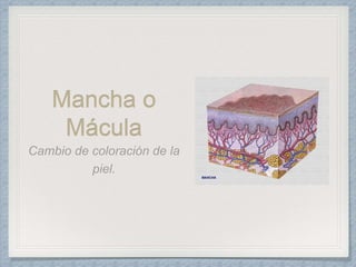 Propedéutica dermatológica y lesiones elementales de la piel | PPTX
