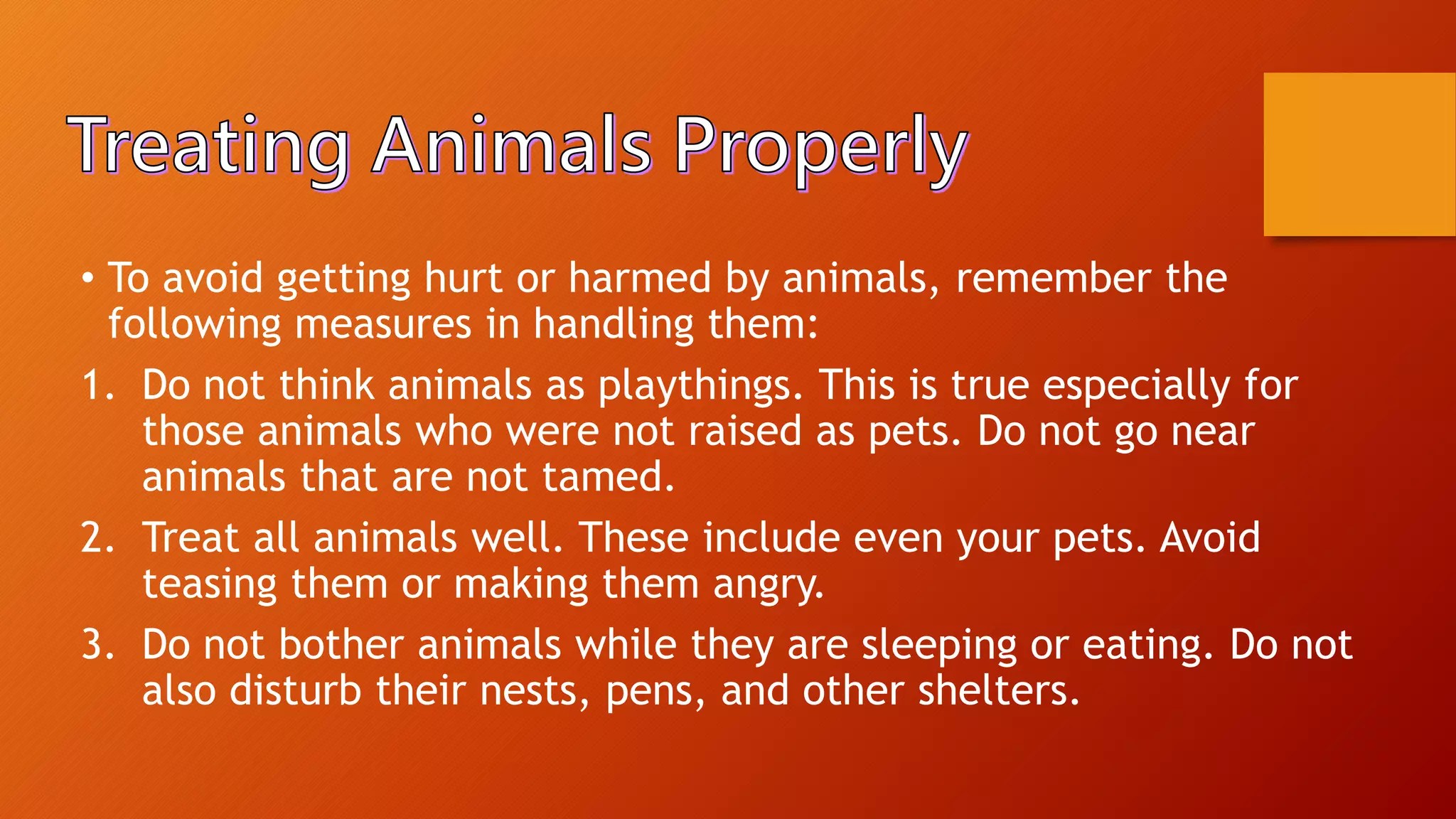 Proper care for animals | PPTX