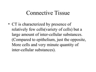 Proper Connective Tissue histology class | PPT
