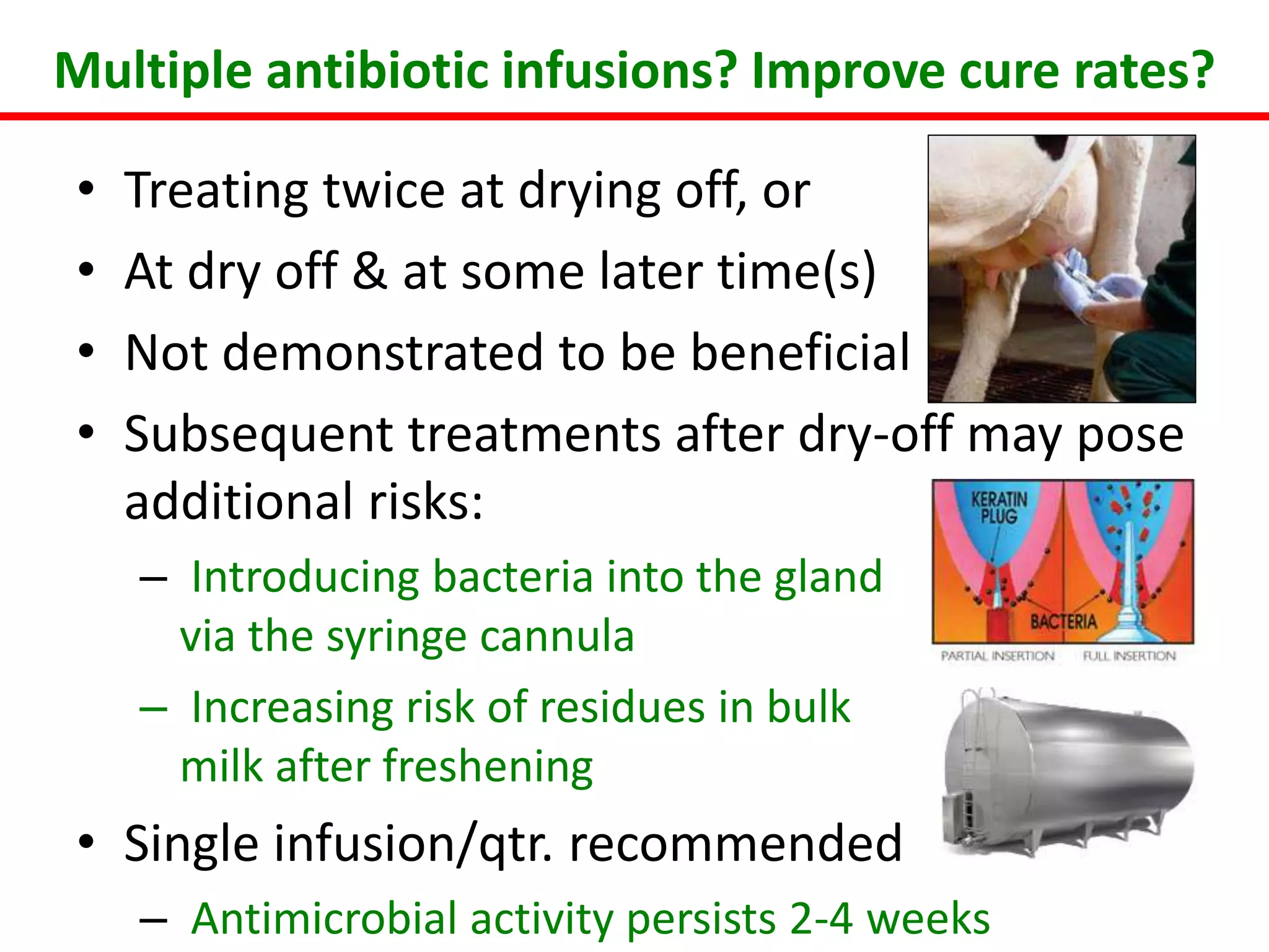 Proper Dry-Off Procedures to Prevent New Infections and Cure Existing ...