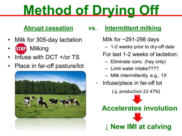 Proper Dry-Off Procedures to Prevent New Infections and Cure Existing ...