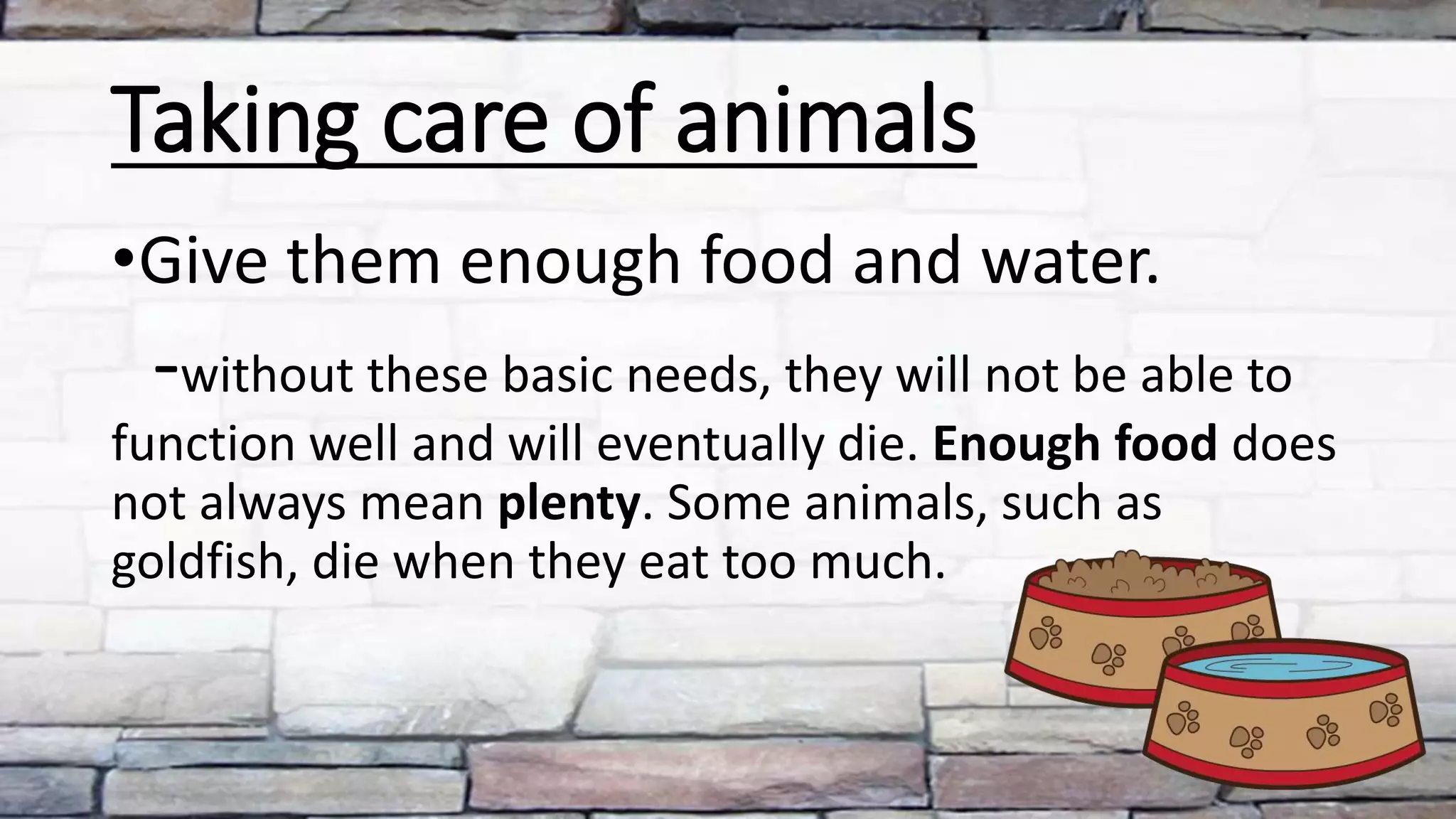 Proper Handling of Animals | PPTX